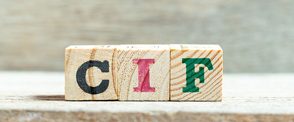 ¿Qué es el NIF? Diferencias con CIF, NIE y VAT